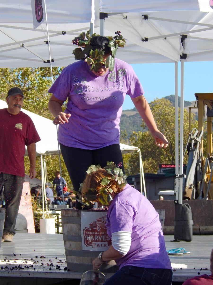 Welcome to the 2023 Harvest Fair – Harvest Fair